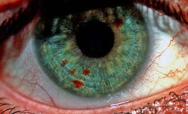 ASP.NET Web API: Understanding OWIN/Katana Authentication/Authorization Part III: Adding ...